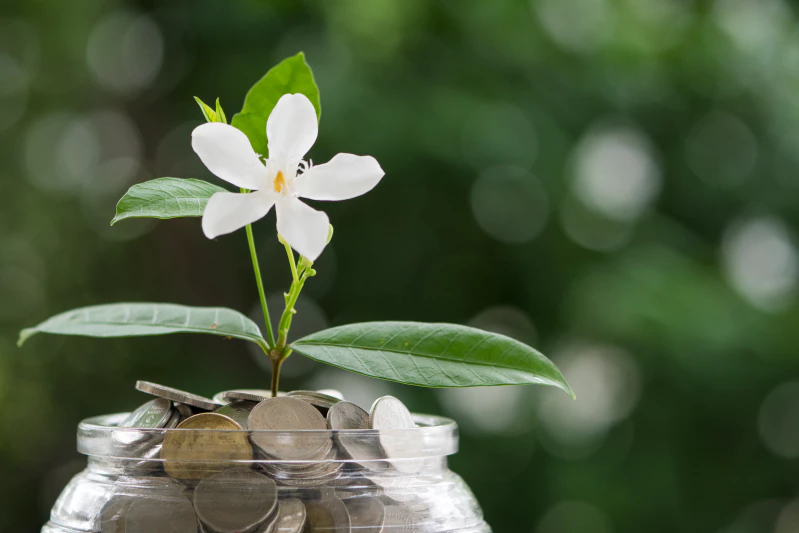 Jenis-Jenis Riba: Pengertian dan Cara Menghindarinya - Ruang meNYALA