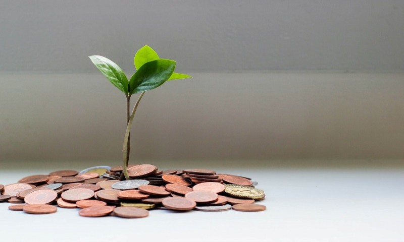 Kenali Manfaat Investasi dan Tipsnya bagi Pemula - Ruang meNYALA